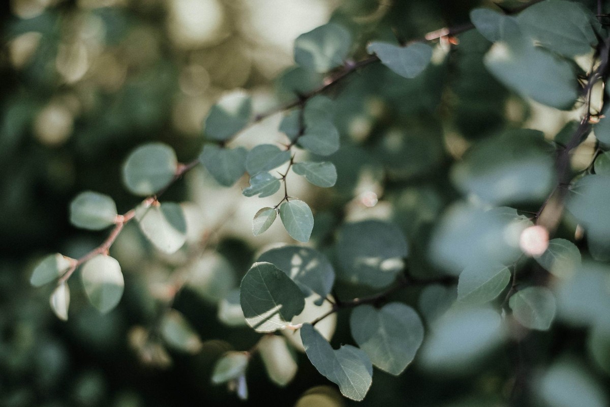 Why You Should Choose an RMT in Ontario | RMT Massage Therapy | AHC ...